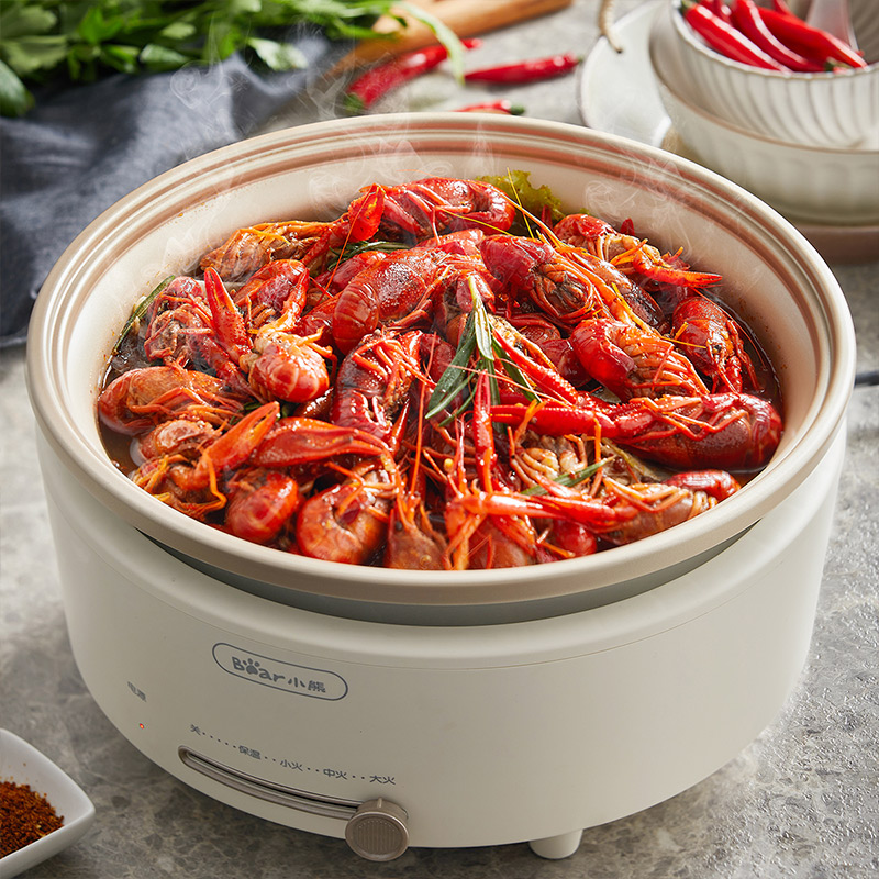 Multi-Function Electric Cooker from China manufacturer - Bear